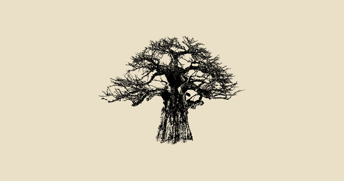 Baobab Tree in Black and White - Baobab - T-Shirt | TeePublic