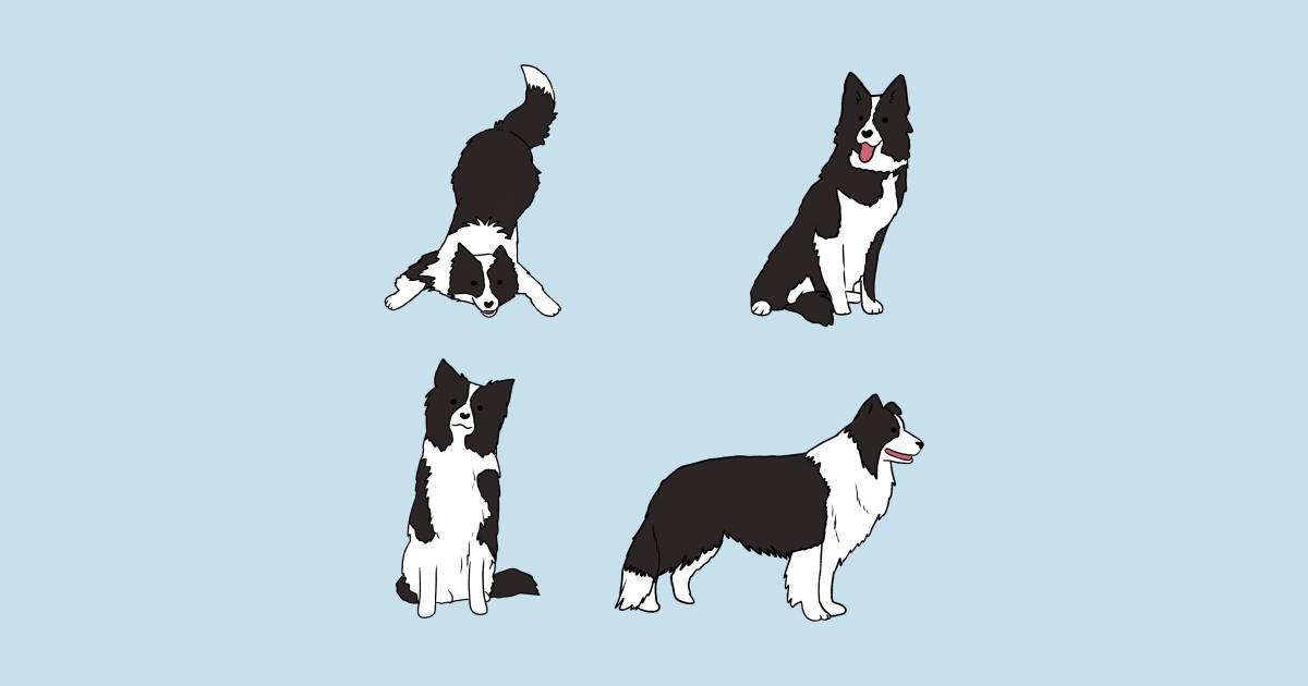 border collie pack - Dog Breed - T-Shirt | TeePublic
