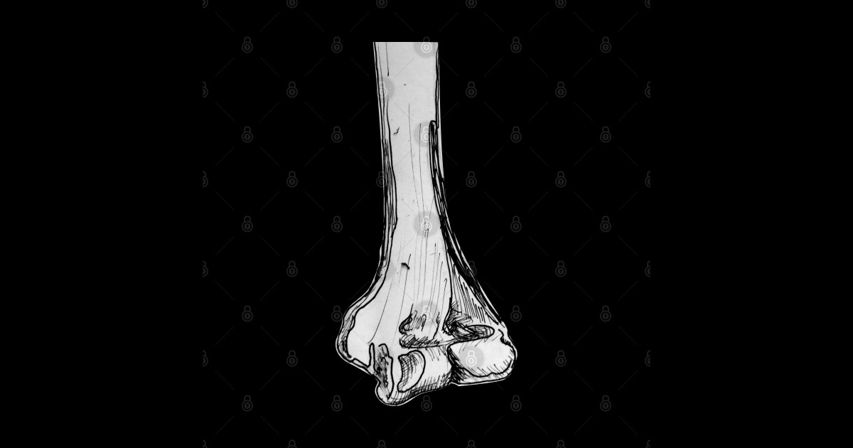 Humerus Pen and Ink Drawing - Osteology - Sticker | TeePublic