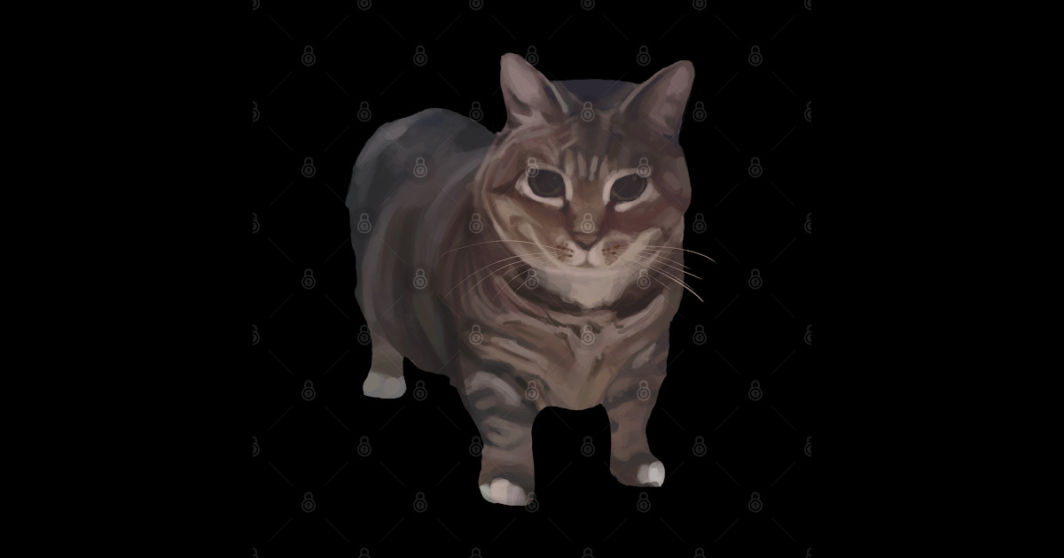 Spinning Cat Meme / OIIAI Cat / UIIAI Cat / OIIA Cat / UIIA Cat - Meme ...