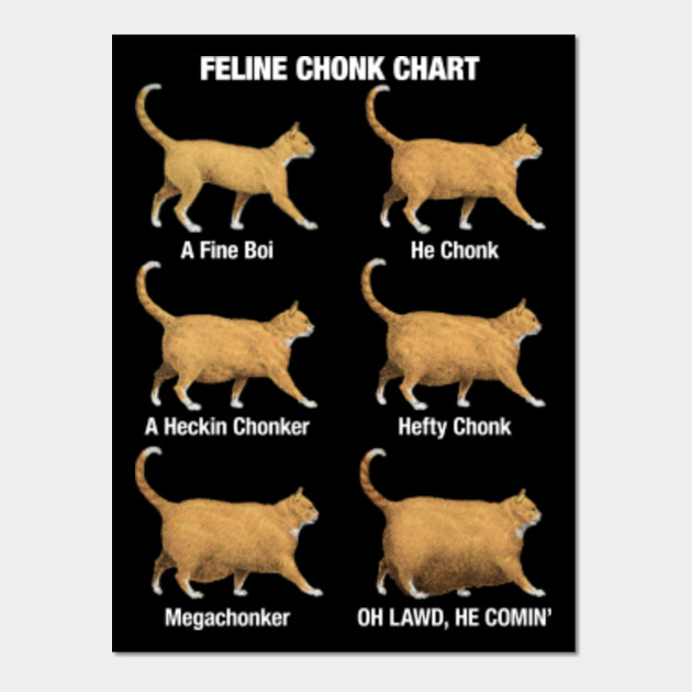 Feline Chonk Chart, Funny Chonk Cat Meme - Chonk Cat - Posters and Art ...
