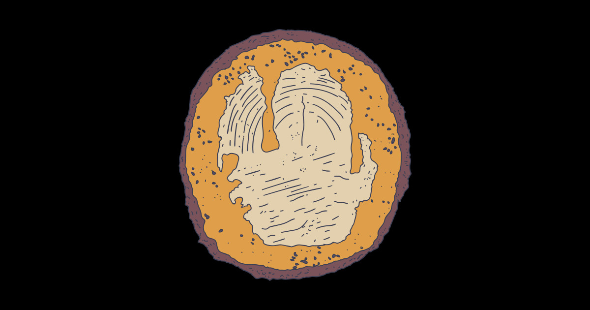 Tree Sap - Cross Section - Plant Physiology - Plant Physiology ...