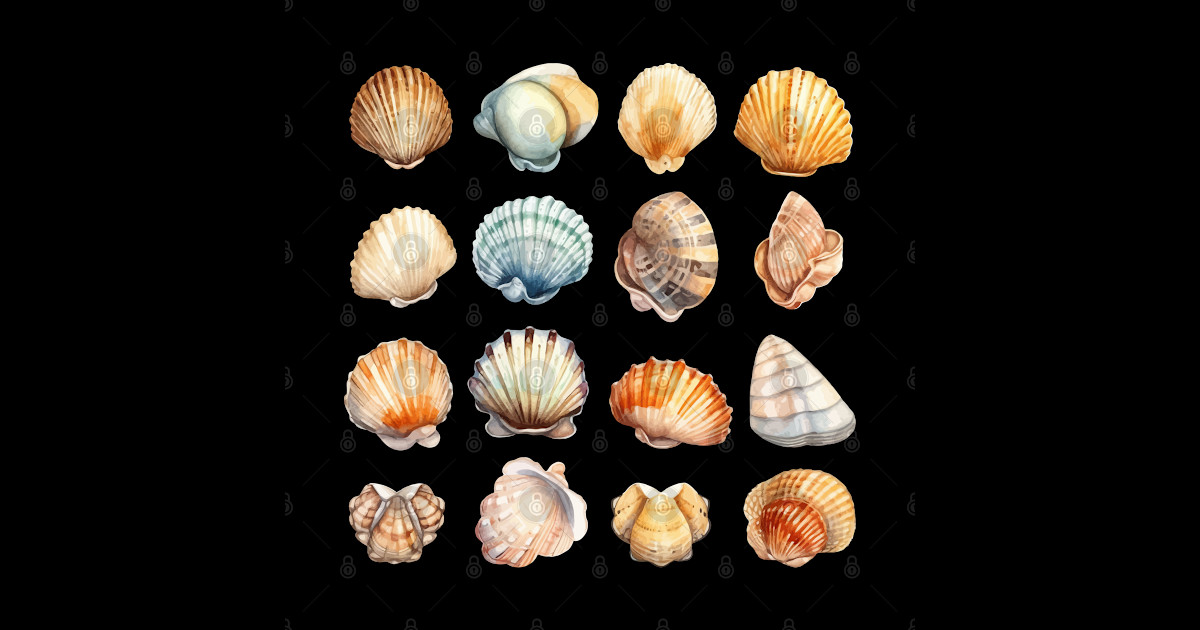 Seashells Isolated Watercolor - Seashells Isolated Watercolor - Sticker ...