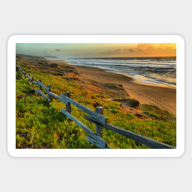 Pt. Reyes North Beach Sunset - Point Reyes - Sticker | TeePublic