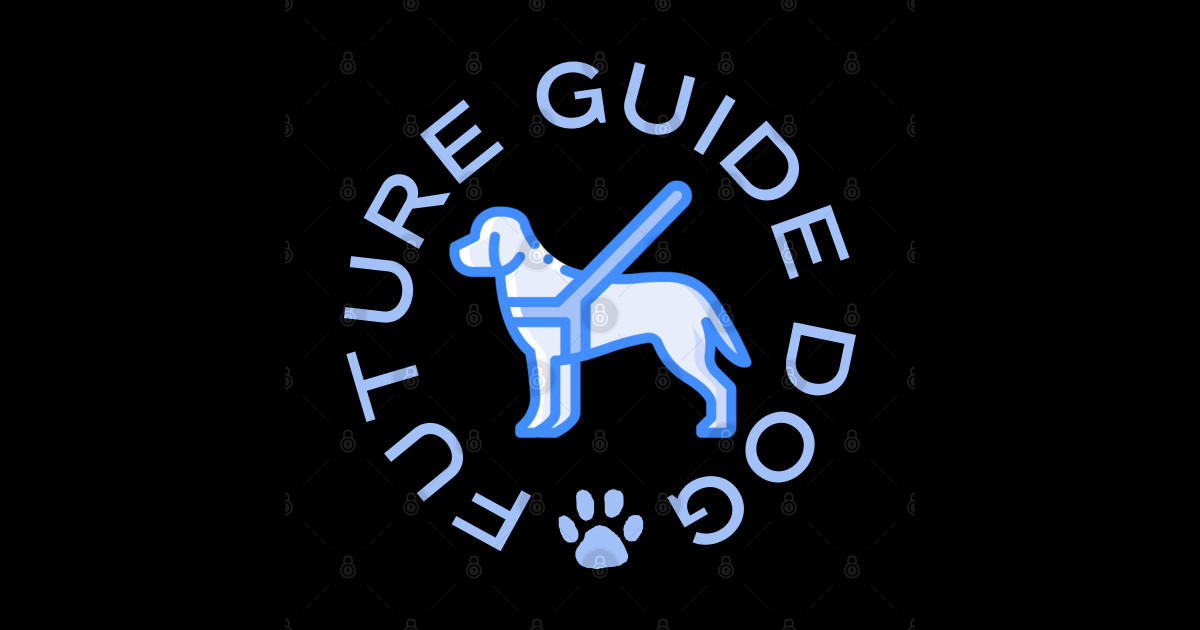 Future Guide Dog - Guide Dog For The Blind - Dog Training - Working Dog ...