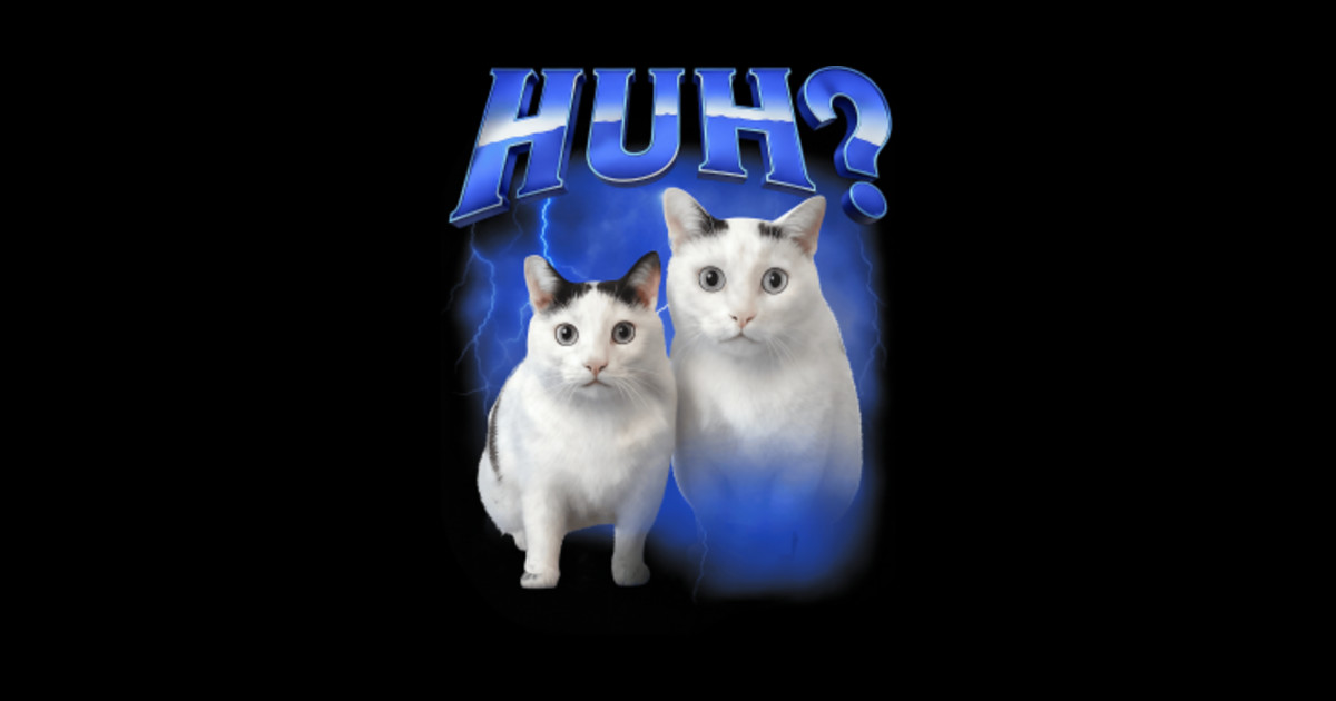 Huh Silly Cat Meme Oddly Bootleg Internet Humor Design With Confused ...