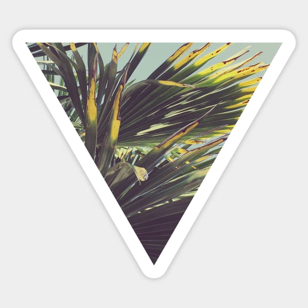 Palm Tree - Palm Trees - Sticker | TeePublic