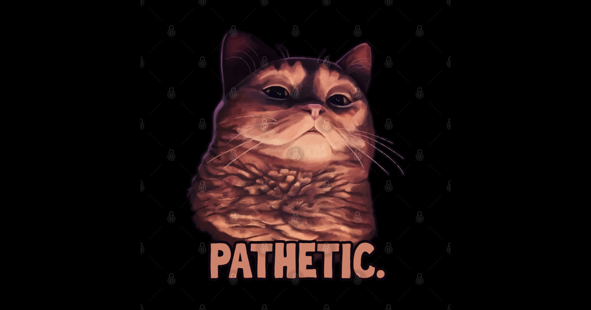 Meme Cat Pathetic - Meme Cat - Sticker | TeePublic