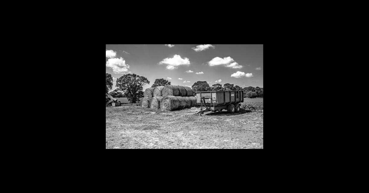 Hay bale stack and tractor trailer in the Norfolk countryside - Hay ...