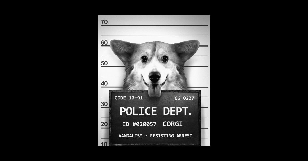 Corgi Mugshot - Corgi - Sticker | TeePublic
