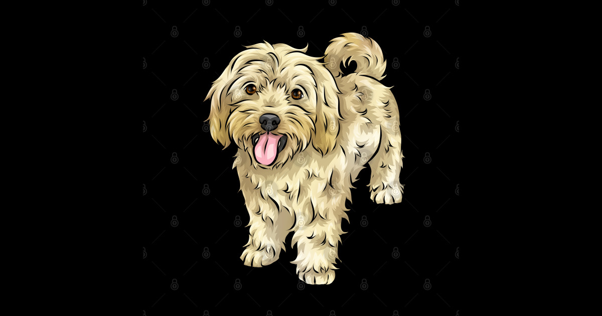 Cute Cream / Yellow Cavapoo Dog - Cavapoo - Sticker | TeePublic