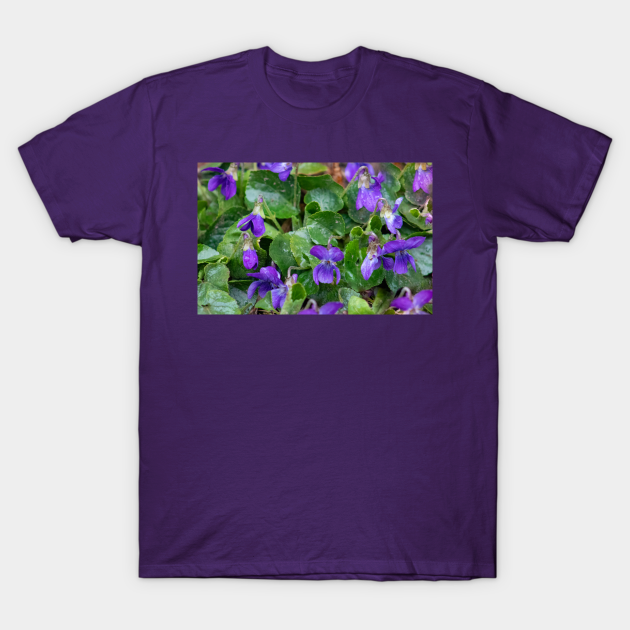 violets - Violets Are Blue - T-Shirt | TeePublic