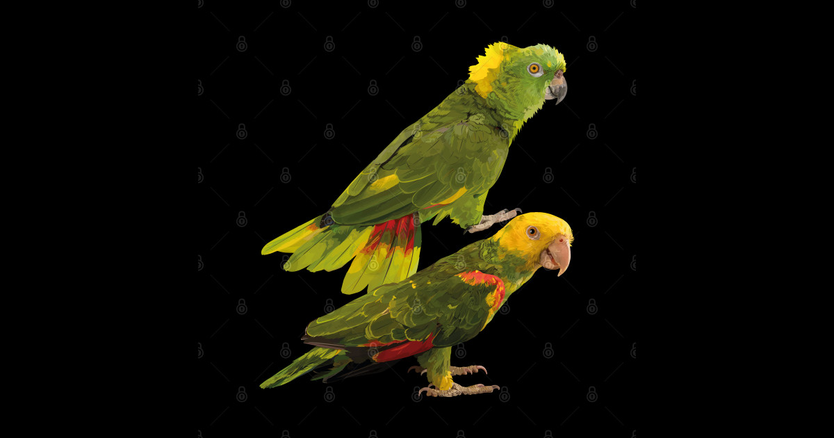 Parrots - Parrot - Sticker | TeePublic