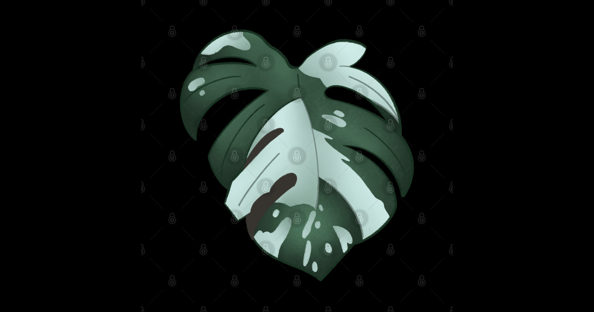 Albino Spotted Monstera Plant - Albinomonstera - Posters and Art Prints ...