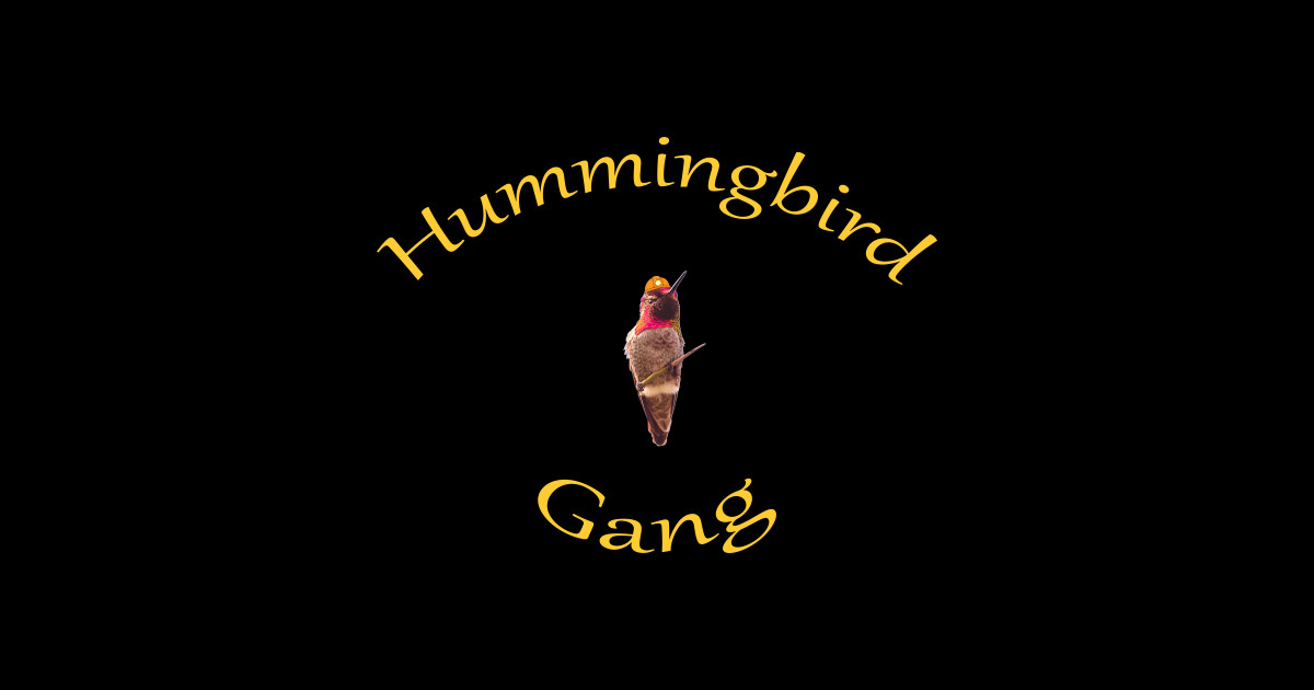 Hummingbird Gang - Hummingbird Gang - Sticker | TeePublic