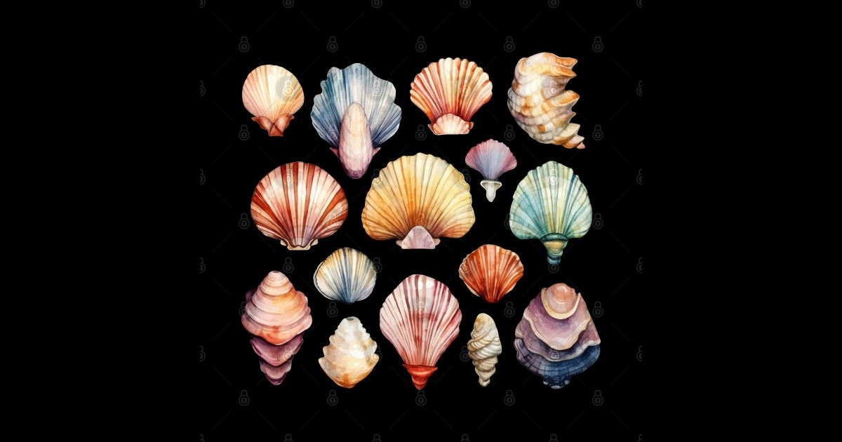 Seashells Colorful - Seashells Colorful - Sticker | TeePublic