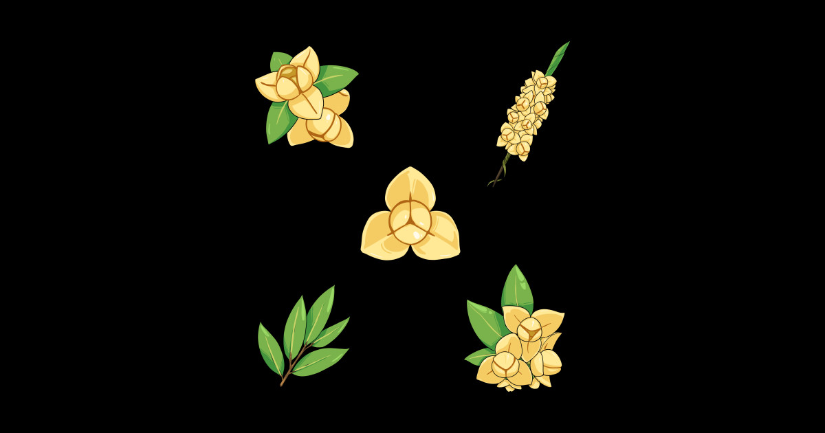 Khmer Rumdul Flower - Cambodian Flower - Posters and Art Prints | TeePublic