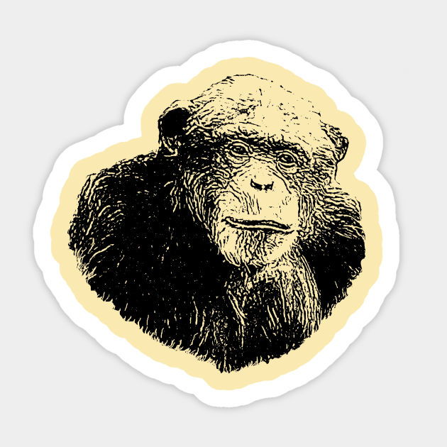 Chimpanzee - Chimpanzee - Sticker | TeePublic