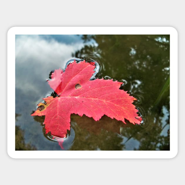 Surface Tension - Leaf - Sticker | TeePublic