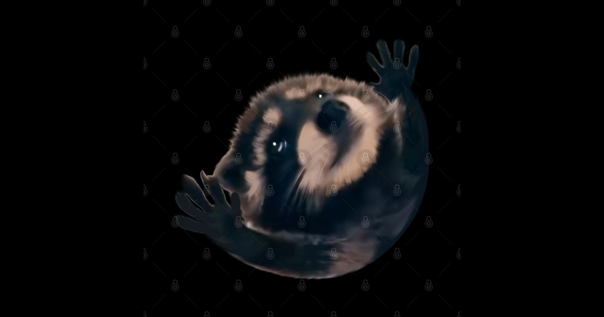 Raccoon Pedro Pedro funny viral meme - Meme Sticker - Sticker | TeePublic