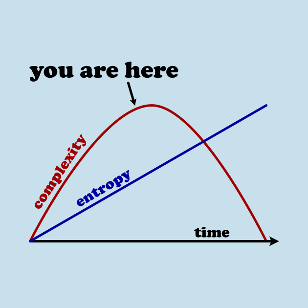 Complexity and Entropy (dark text) - Physics - T-Shirt | TeePublic