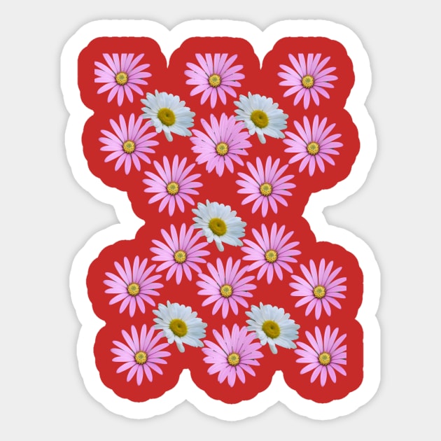 Pink and white Daisy Summer Pattern - Pink Daisy - Sticker | TeePublic