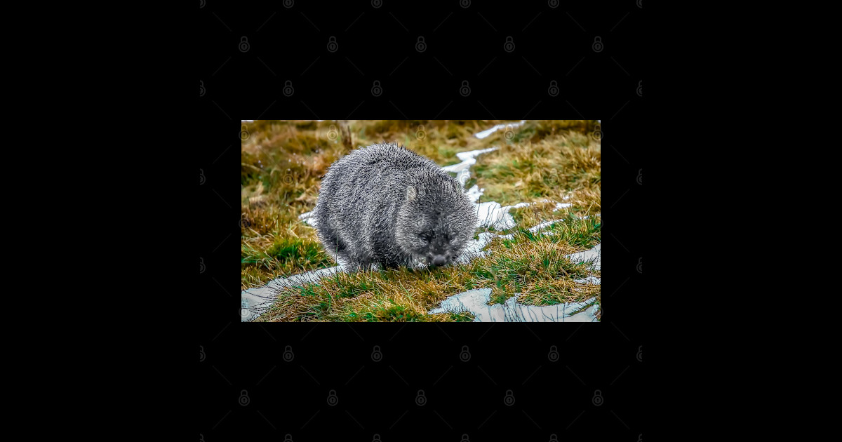 Tasmanian Wildlife - Tasmania - Sticker | TeePublic