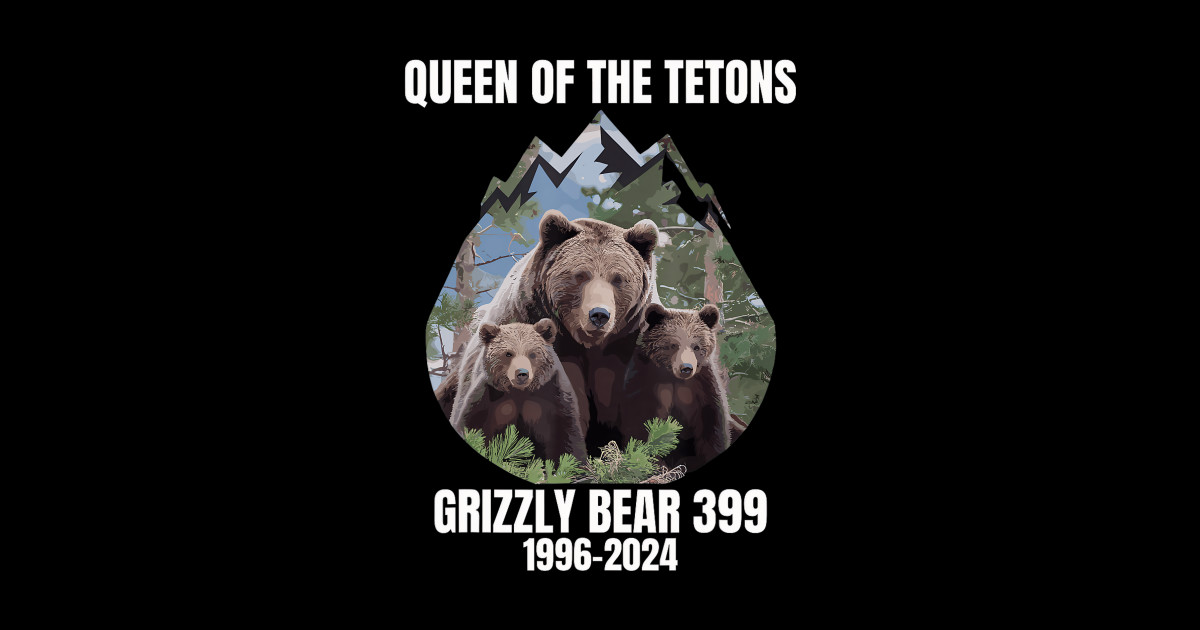 Bear Vintage National Park 2024 - Grizzly Bear 399 - Sticker | TeePublic