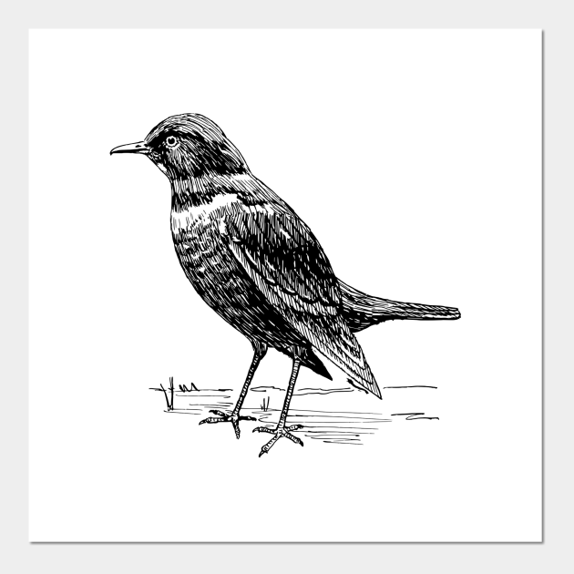 Minimal Bird Design - Funny Bird - Posters and Art Prints | TeePublic