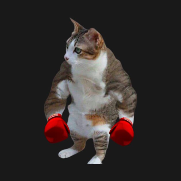 cat shitpost meme, funny memes - Cat Shitpost Memes - T-Shirt | TeePublic