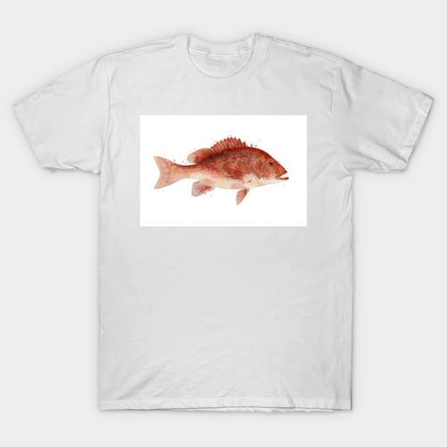 Red Snapper Watercolor Art for the Fishing Lovers and Anglers / Gifts ...