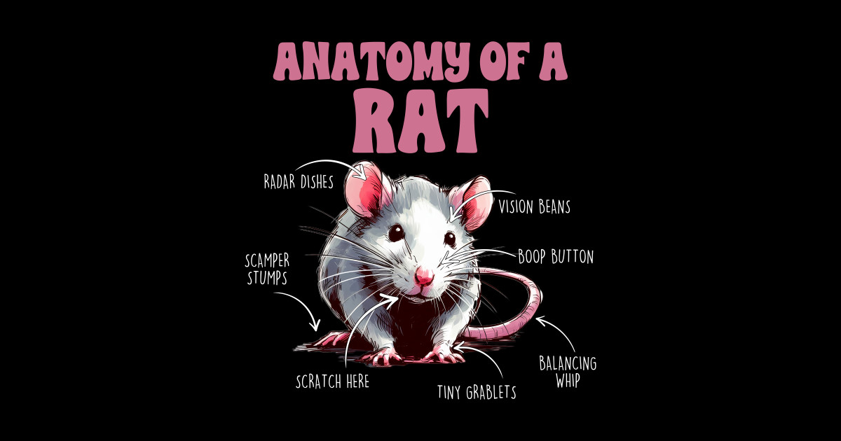 Rat Lover Rat Owner Rat Squad Funny Anatomy Of A Rat - Rat Lover ...