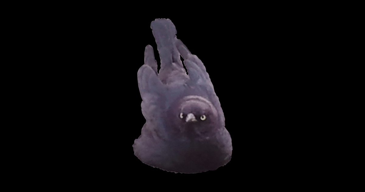 Melting Bird - Melting - Sticker | TeePublic