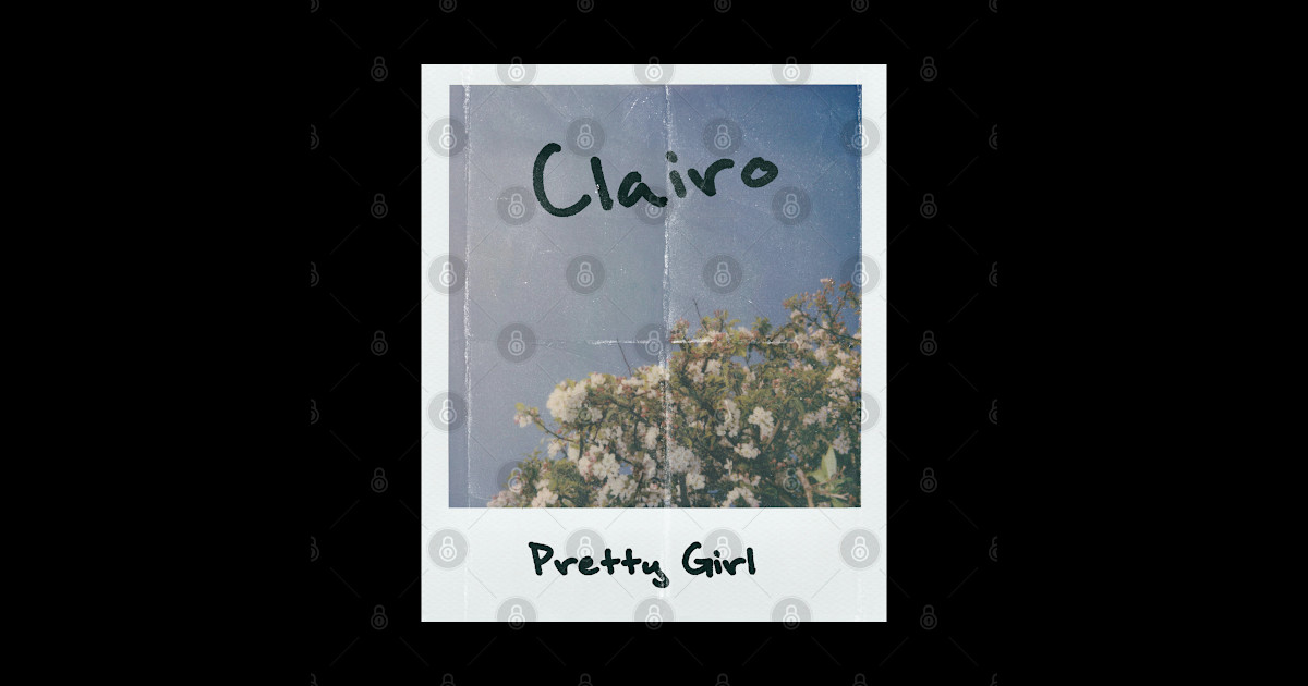 Clairo Polaroid Photo - Clairo - Sticker | TeePublic