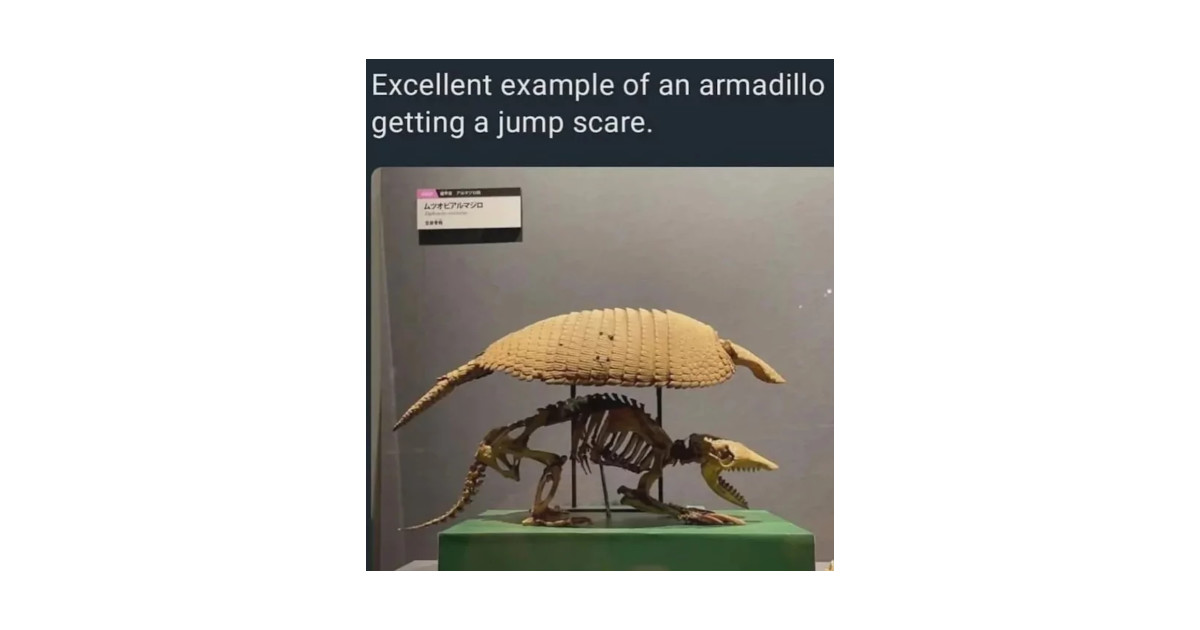 Armadillo Jump Scare Meme - Hilarious Museum Exhibit Fail - Meme - T ...