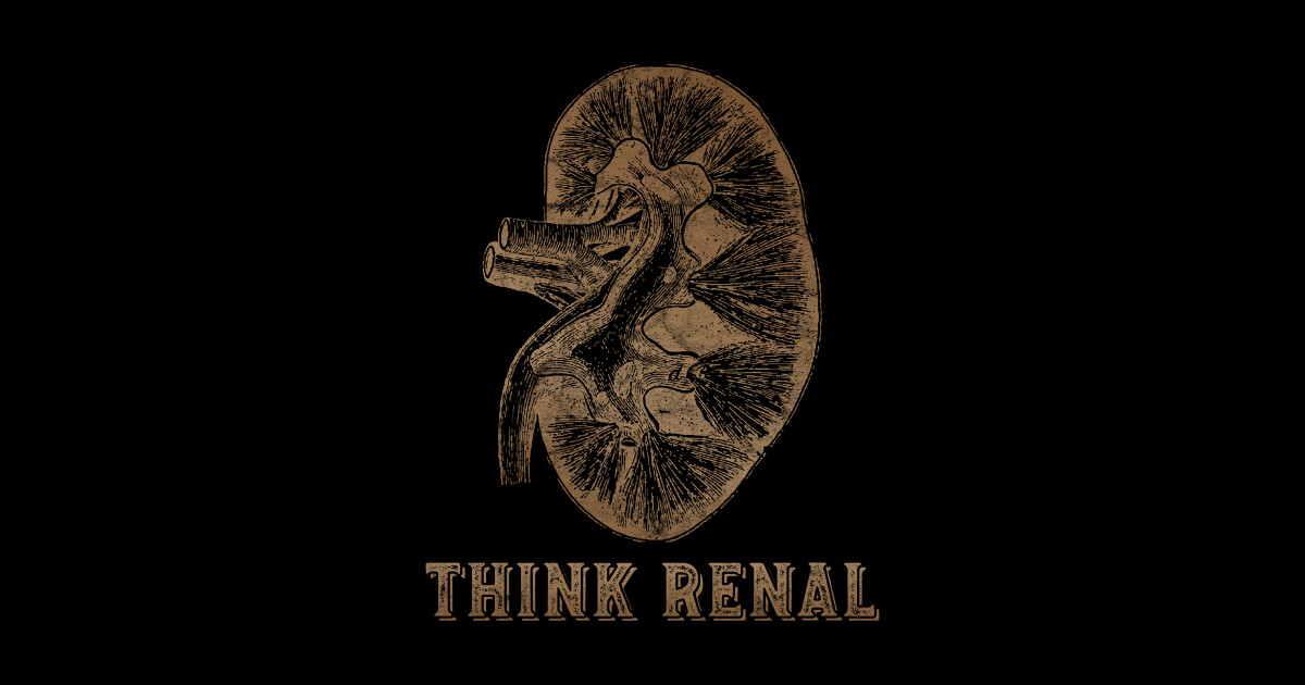 'Think Renal Nephron' Cool Kidney Excretory System - Kidney - Sticker ...