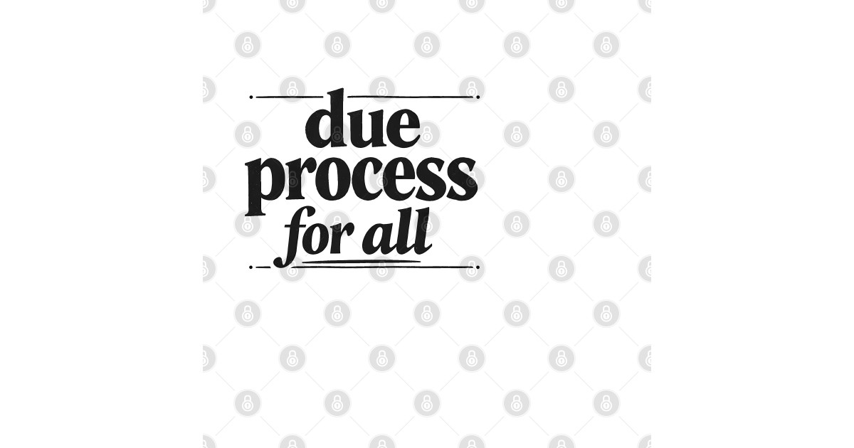 Due Process for All Shirt – Protest Typography Civil Rights Tee - Anti ...