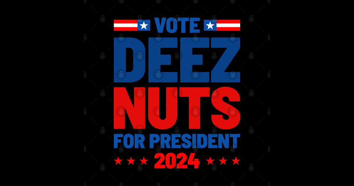 Deez Nuts 2024 For President - Deez Nuts - Pin | TeePublic