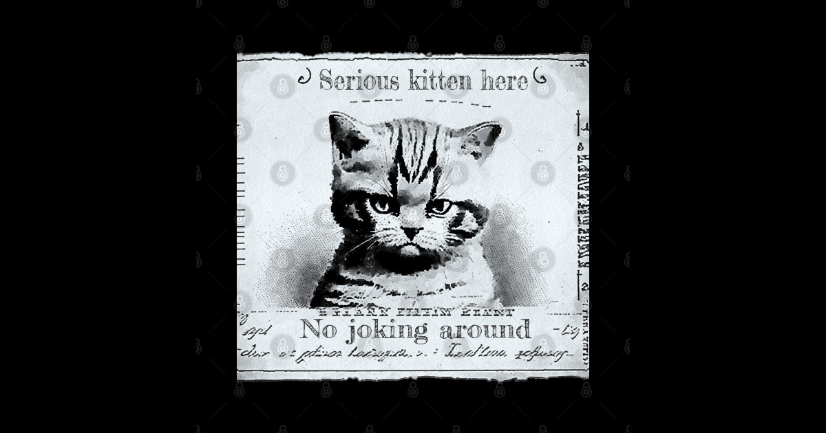 Serious kitten, old newspaper - Kitten Lover Gift - Posters and Art ...