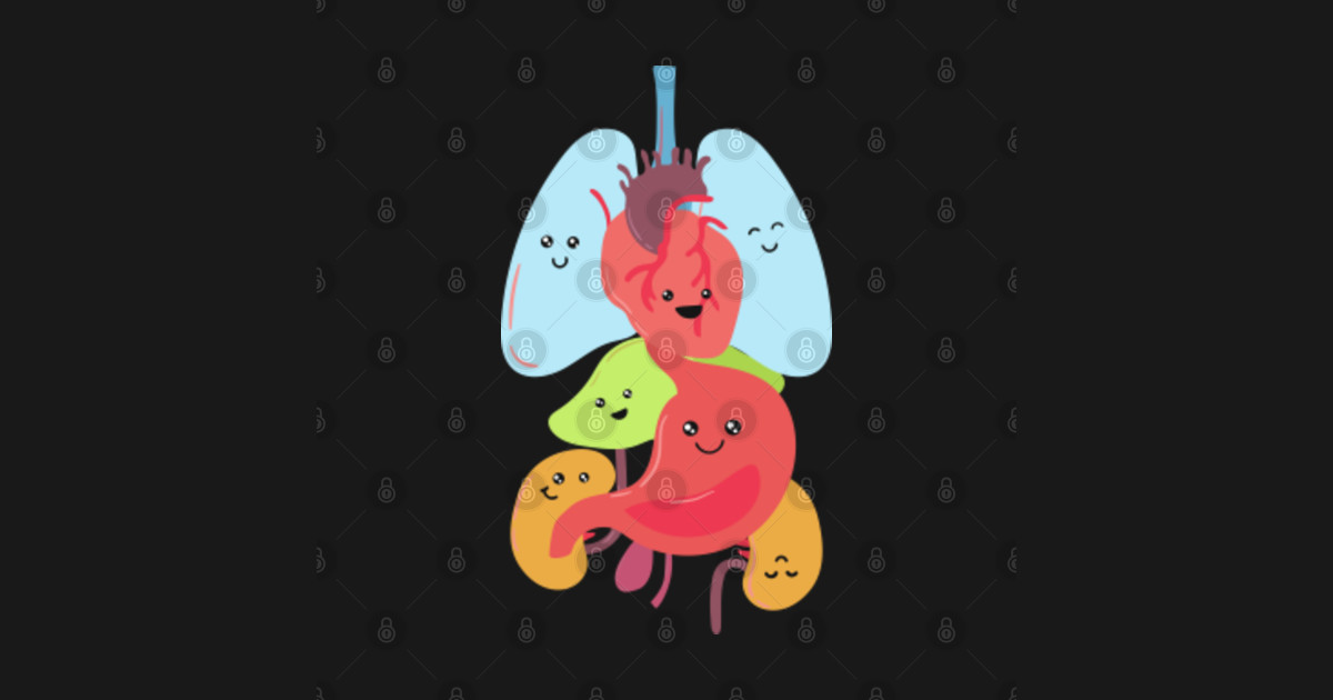 Cute Anatomy - Internal Organs Body Tee - Organ - Hoodie | TeePublic