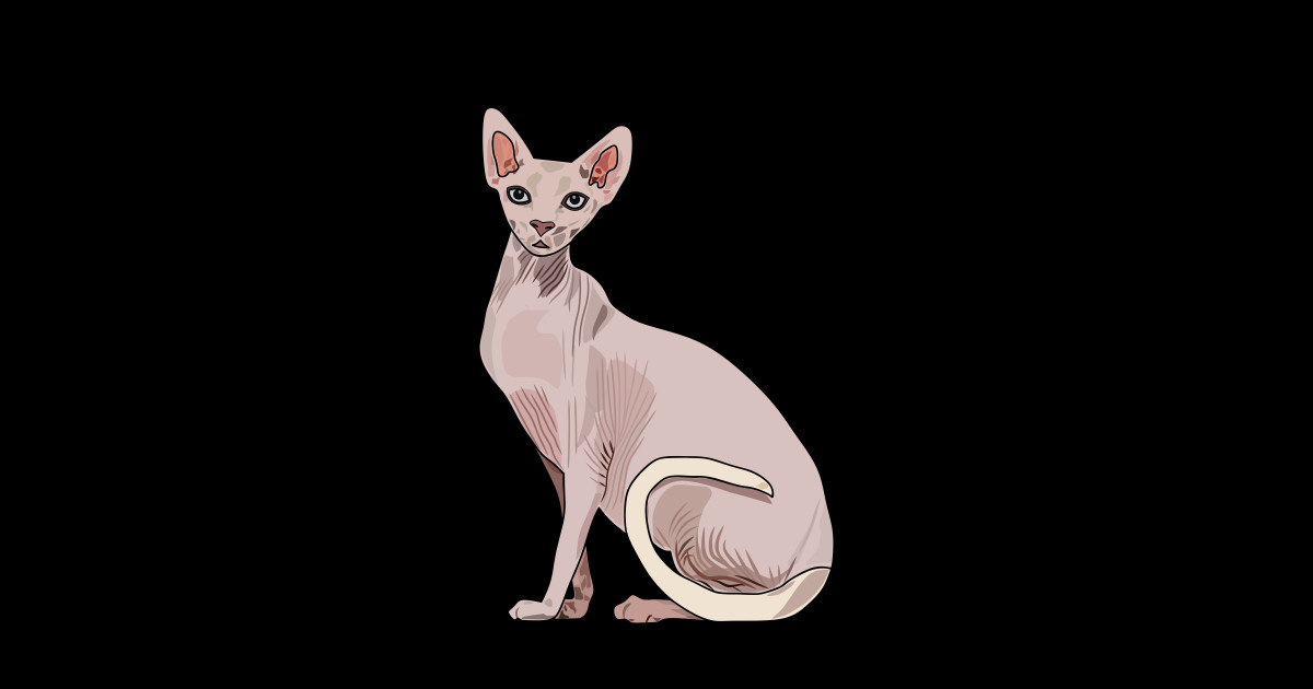Sphynx cat cartoon illustration - Sphynx Cat Cartoon Illustration ...
