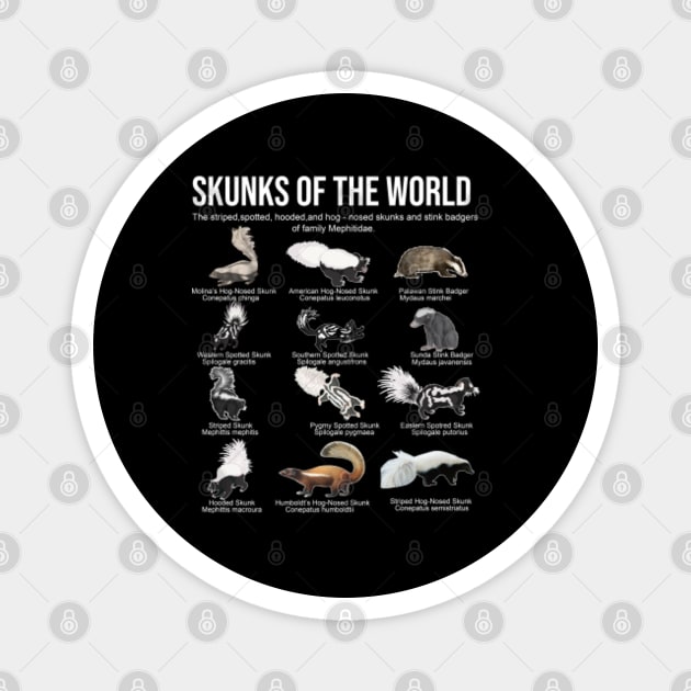 Skunks of the World Infographic Animal Species Chart - Skunk - Magnet ...