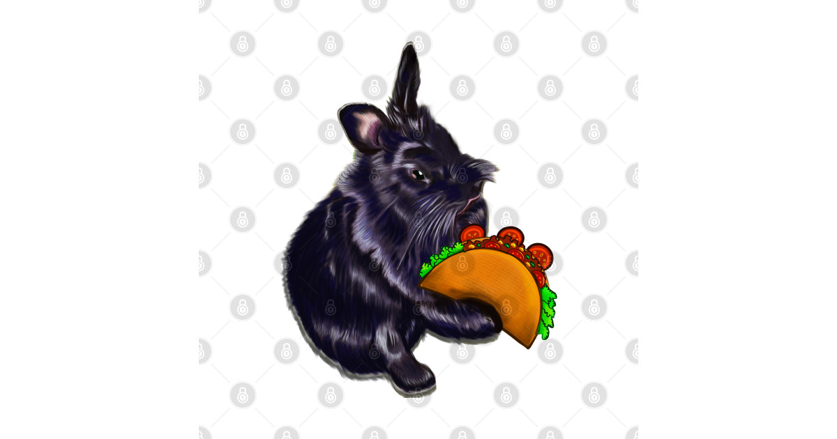 Cute kawaii Ebony colored lionhead bunny rabbit eating a taco ...