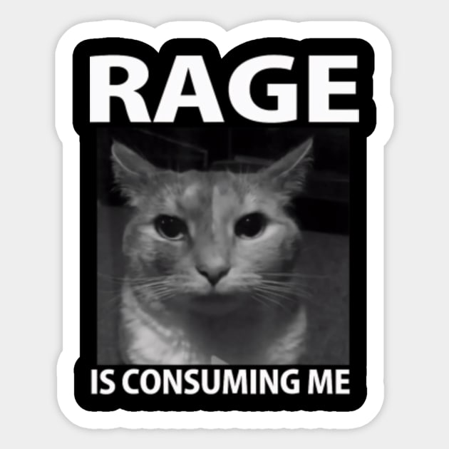 Rage Is Consuming Me Silly Staring Cat Meme Funny - Rage Consumes Me ...