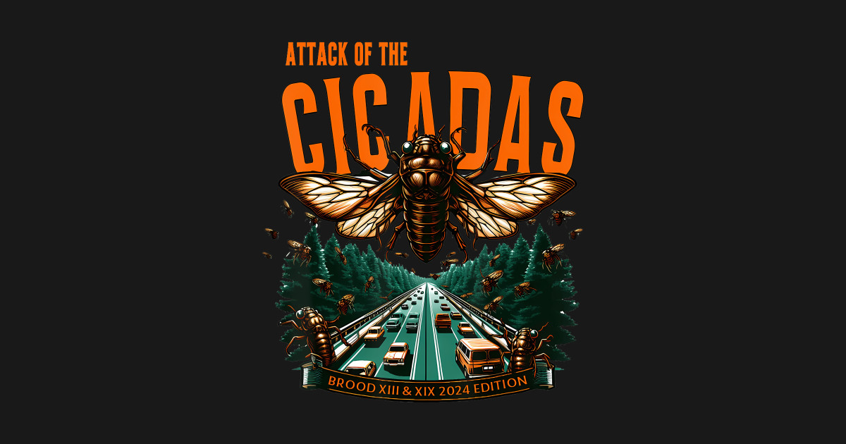 Attack Of Cicadas Brood XIII & XIX 2024 Edition Entomology - Cicada ...