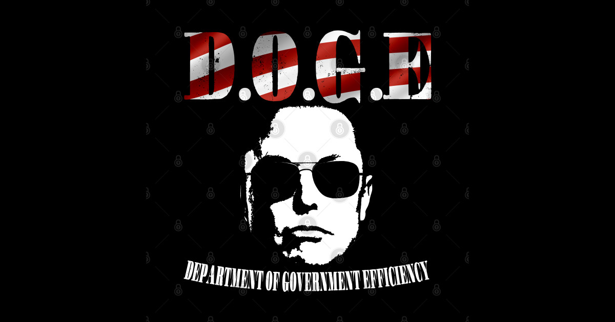 DOGE By Elon Musk - Doge - Posters and Art Prints | TeePublic