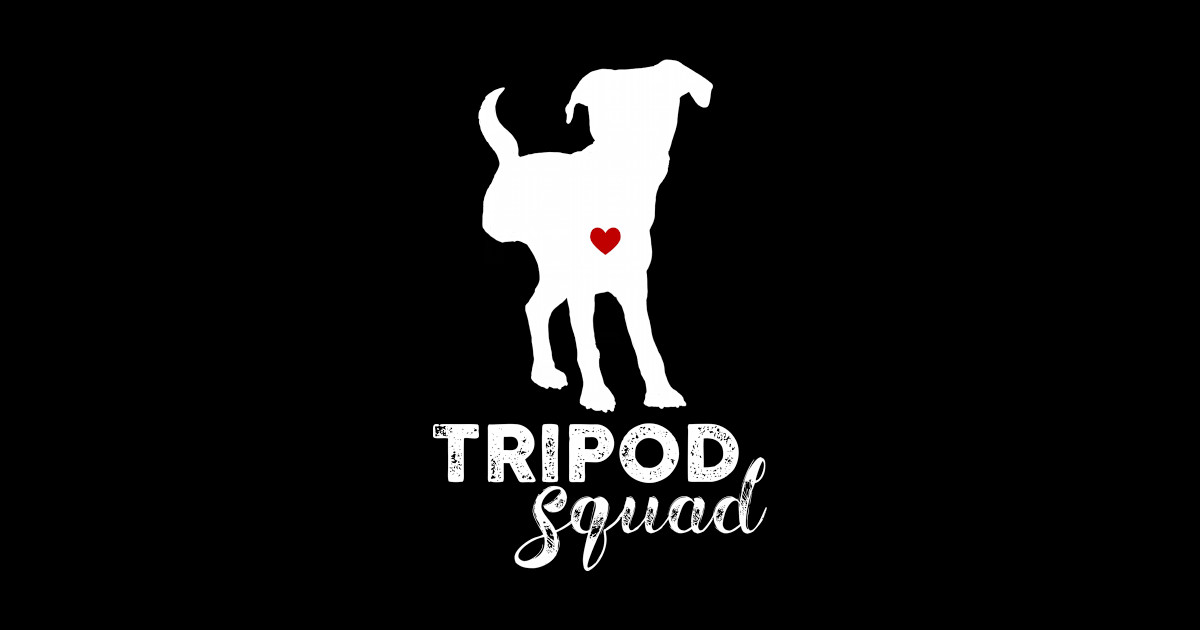 Tripod Squad, Three-Legged Dog, BACK RIGHT LEG amputee - Tripod ...