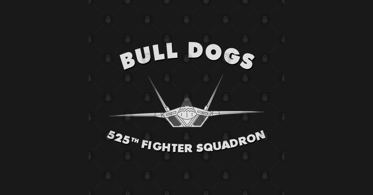 525th Fighter Squadron Bull Dogs USAF F22 - F22 Raptor - T-Shirt ...