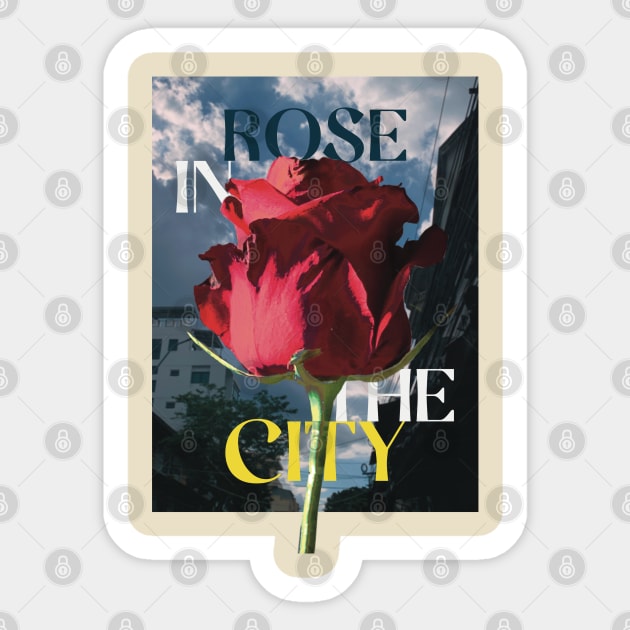 Rose In The City - Rose - Sticker | TeePublic