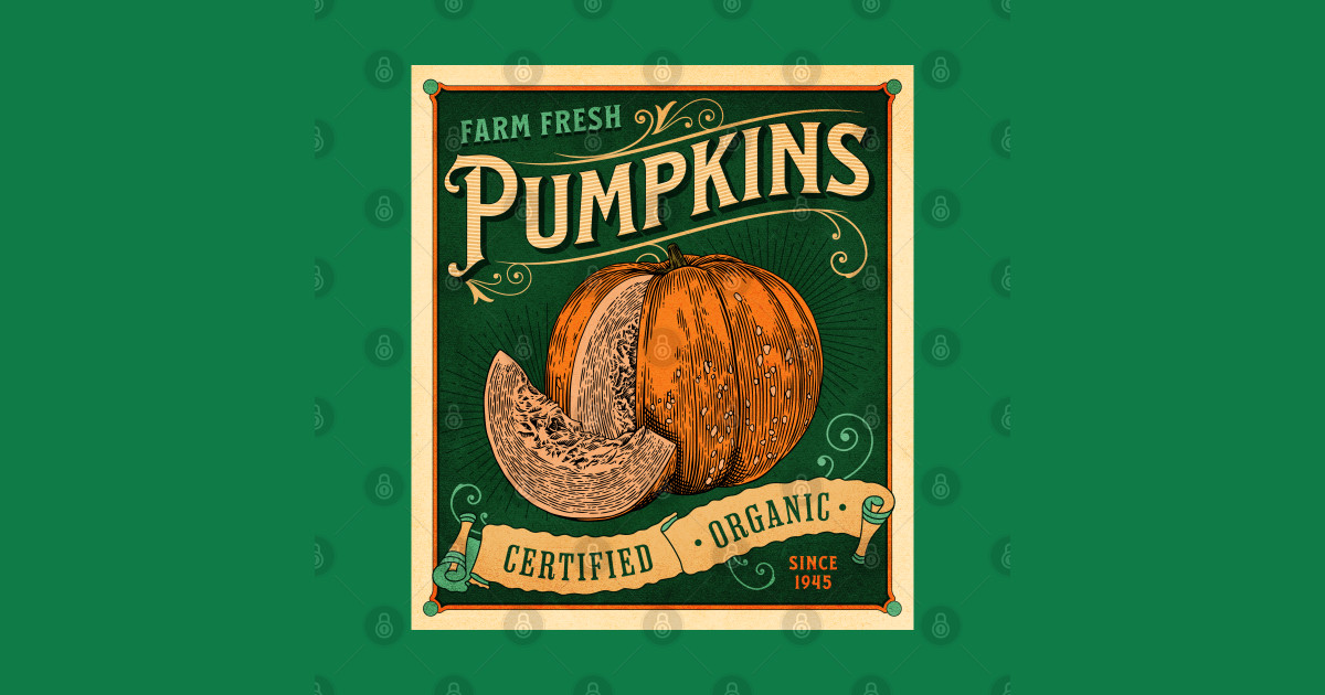 Vintage Pumpkin Patch Farm Sign - Halloween Thankgiving Vibes - Vintage ...